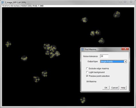 counting foci in imagej biii