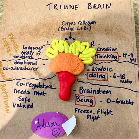 Seven Top Tips For Delivering Effective Thrive Awareness Training The