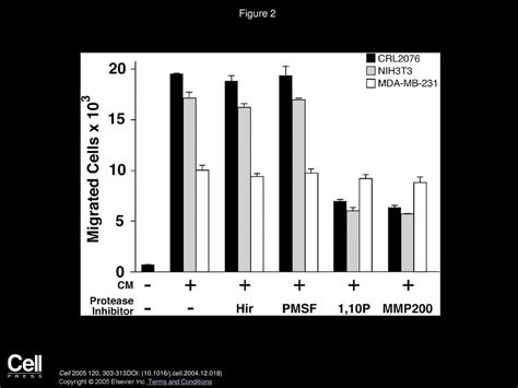 Volume 120 Issue 3 Pages February 2005 Ppt Download