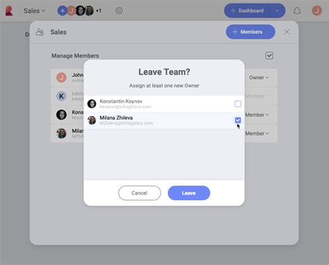managing teams infragistics reveal™ help