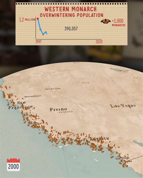 Western Monarch Butterfly Population Decline — Information Is Beautiful Awards