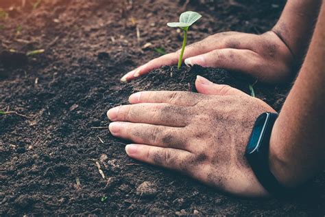 Four Reasons Why You Arent Able To Validate And What To Do — The Shiftless Wanderer