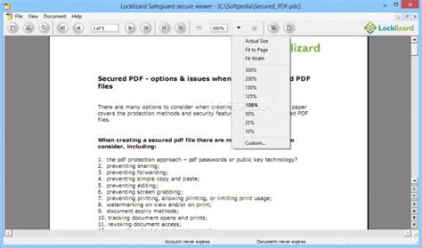 Lizard Safeguard Secure Viewer Download Softpedia