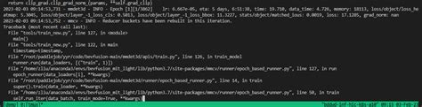 Runtimeerror Bevfusion Mainmmdet3dopsspconvincludetensorview