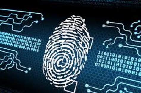 cryptocurrency forensics reports prosper guard legal