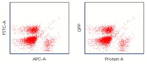 Parameter Labels