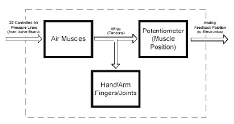 Artificial Hand Using Embedded System Block Diagram What Are