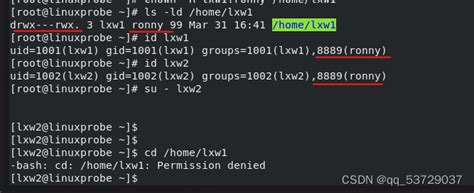 Linux学习记录18——用户的基本组、扩展组和文件的所有者、所属组之间的关系linux所有者和所属组 Csdn博客