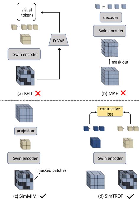 [논문 리뷰] Enhancing 3d Transformer Segmentation Model For Medical Image With Token Level
