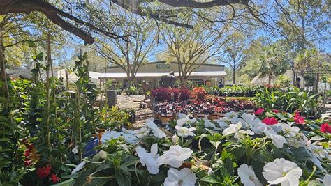 Cooking Solutions With Kristin The Quick Cooker Is The Perfect