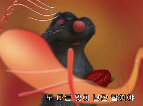 TPHOLIC 바탕화면 아이콘 자료실 라따뚜이
