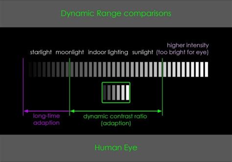 What Is Contrast Ratio A Comprehensive Guide For Optimal Display