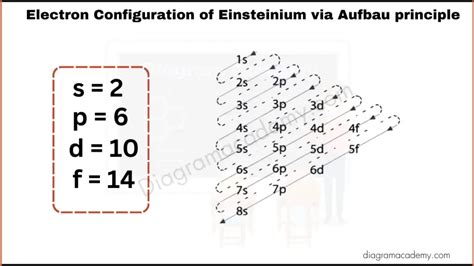 Electronic Configuration Of Einsteinium Diagram