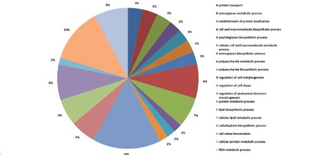 Gene Ontology Analysis Of The Proteins Identified By The Proteomics