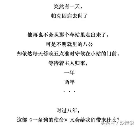 一條狗的使命讓狗告訴我們怎麼去愛怎麼活在當下 每日頭條