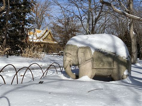 Cassandra Spring 2020