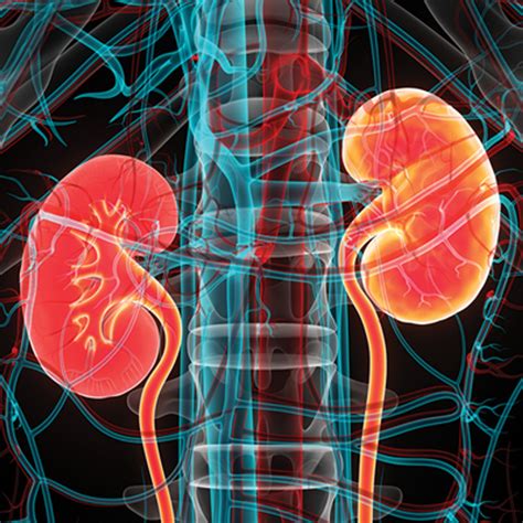 Oakstone Intensive Review Of Nephrology 2024 Course Medical Shop