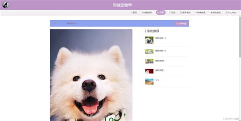 计算机毕业设计 基于Java的同城宠物帮宠物领养平台 系统的设计与实现 Java实战项目 附源码 文档 视频讲解 java宠物管理系统实训代码 CSDN博客