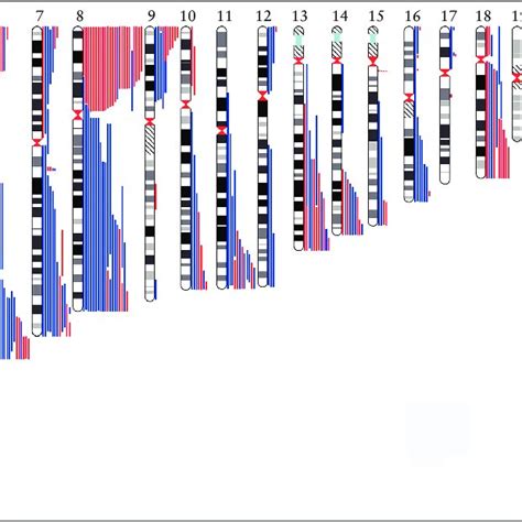 Distribution Of Large Copy Number Variations Cnvs And Submicroscopic