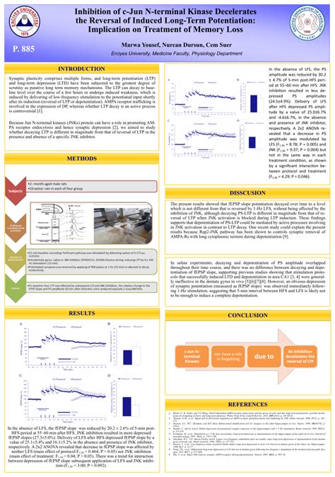 Pdf Inhibition Of C Jun N Terminal Kinase Decelerates The Reversal Of Induced Long Term
