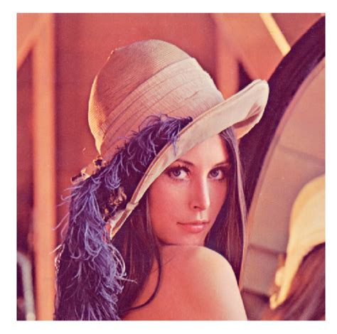 Matplotlibでの画像の表示【python】 Biotech ラボ・ノート