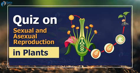 Quiz On Sexual And Asexual Reproduction In Plants Dataflair
