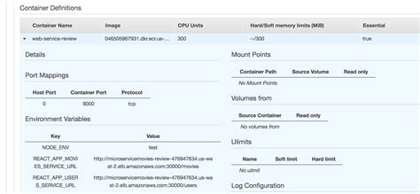 On Demand Environments With Docker And Aws Ecs