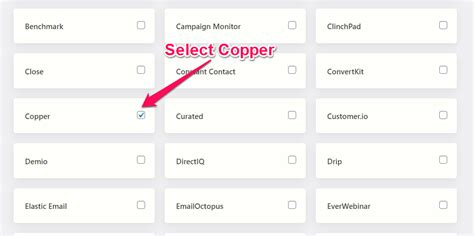 Copper Crm Advanced Form Integration