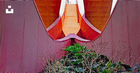 Chart Surface Chart Photo Free Plant Image On Unsplash