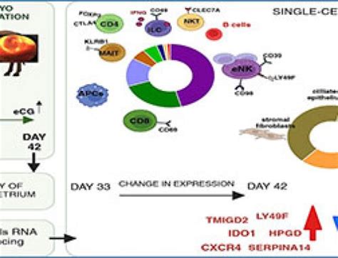 Comparison Of Atopic Dermatitis Transcriptome Profiling By Microarray