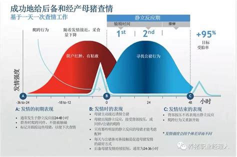 了解母猪的发情迹象及查情要点 知乎