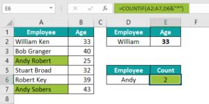 Wildcard In Excel Types Formulas How To Use Character