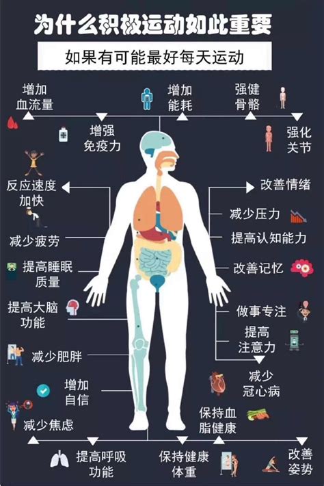基础代谢率计算器 BMR 在线精准计算基础代谢热量