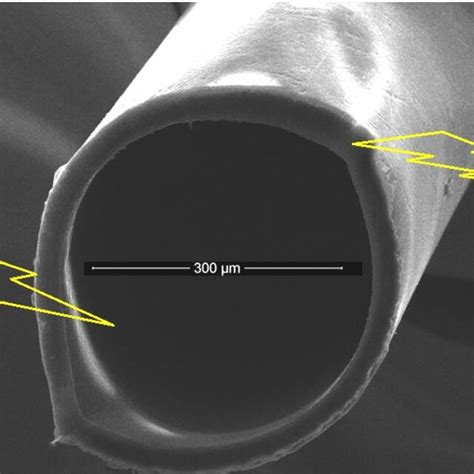 Schematic Presentation Of Pertraction Installation Sp Source Phase