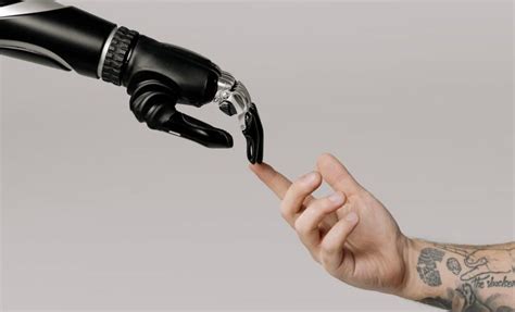 How Humans And Machines Can Work Together
