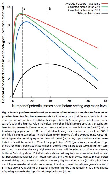 Applying Classic Algorithms To Mate Selection Whitetruffle