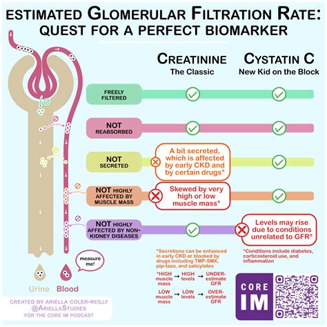 Ckd Staging Cr Vs Cystatin C Albuminuria And More Mind The Gap Segment Core Im Podcast