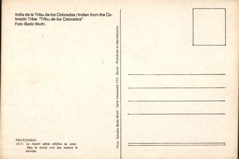 Indian From The Colorado Tribe Ecuador Risque And Nude Postcard