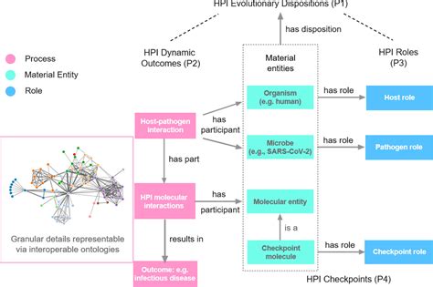Frontiers A New Framework For Host Pathogen Interaction Research