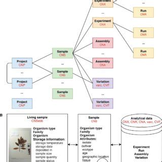 PDF CNSA A Data Repository For Archiving Omics Data