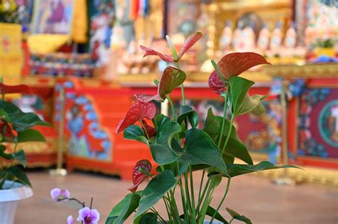 Гандантэгчэнлин Хийд Added A New Photo Гандантэгчэнлин Хийд