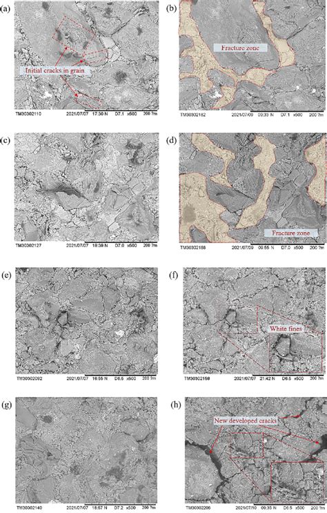 comparison of the microstructure between initial samples and treated