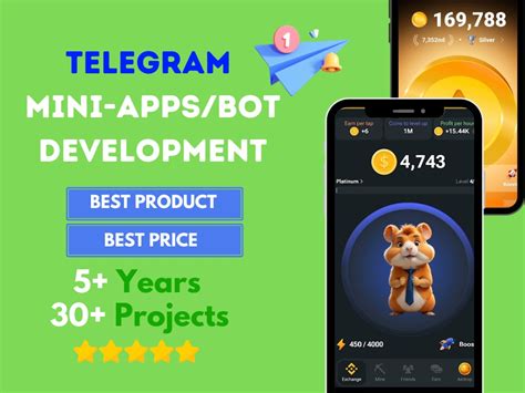 Telegram Bot Crypto Web3 Telegram Mini App Upwork