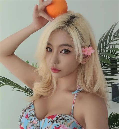 꿈의픽 Vip 스포츠 프로젝트 시작 네이버 블로그