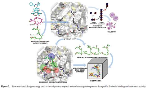 3d Scanner Image 3d Qsar