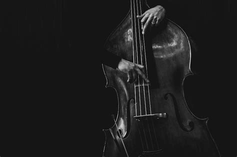 Why Jazz Laura Warrell On Devotion To A Dying” Art Form ‹ Literary Hub