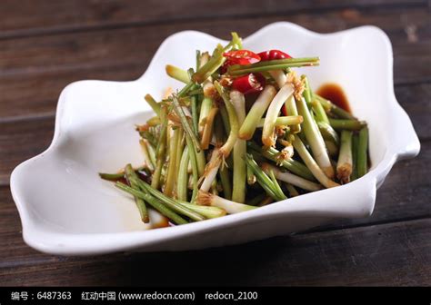 菜根香高清图片下载 红动中国
