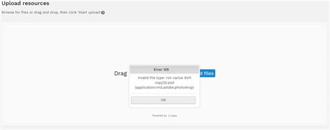 Error 105 Invalid File Type