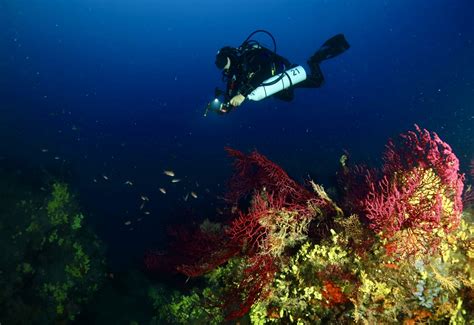 Decompression Diving Diving In Elba