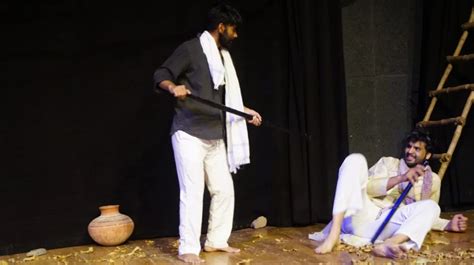 Cat Acting School Institute Dazzlerr